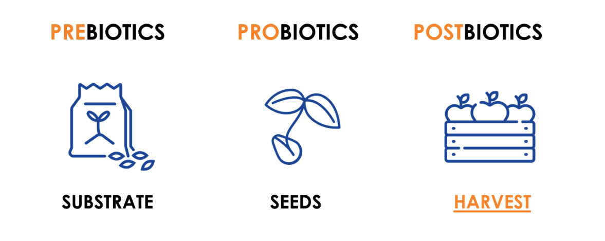 Understanding The Role Of Biotics In Livestock