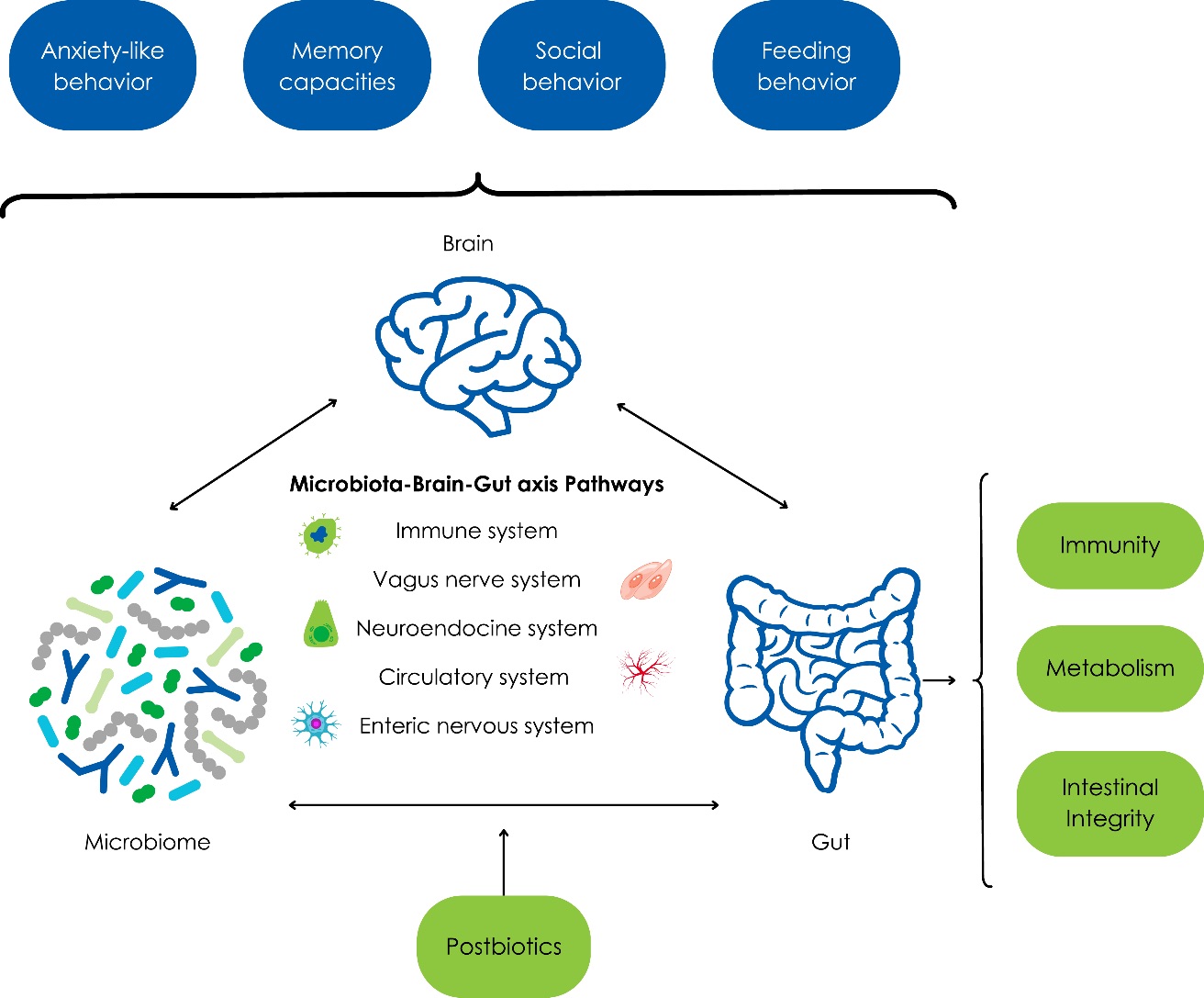 Understanding The Role Of Biotics In Livestock